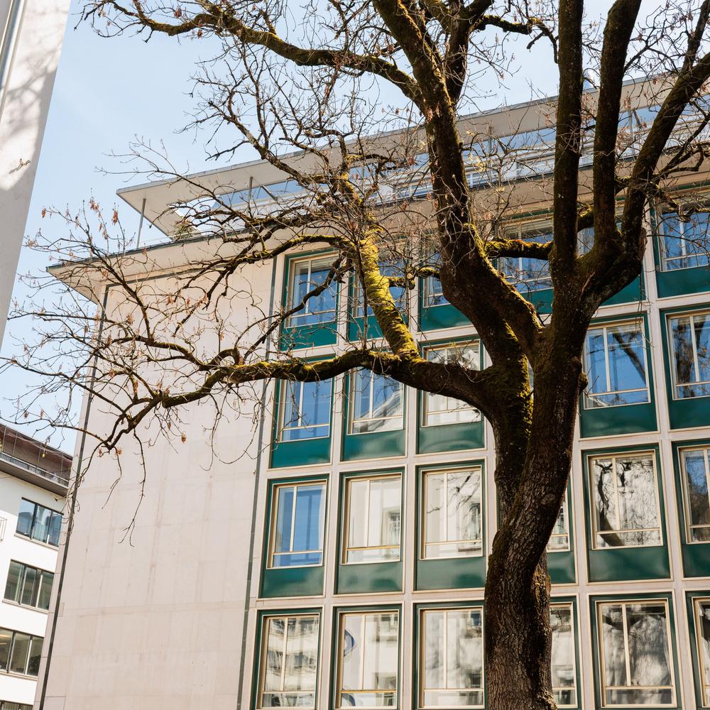 The Artistic | Headsquarter